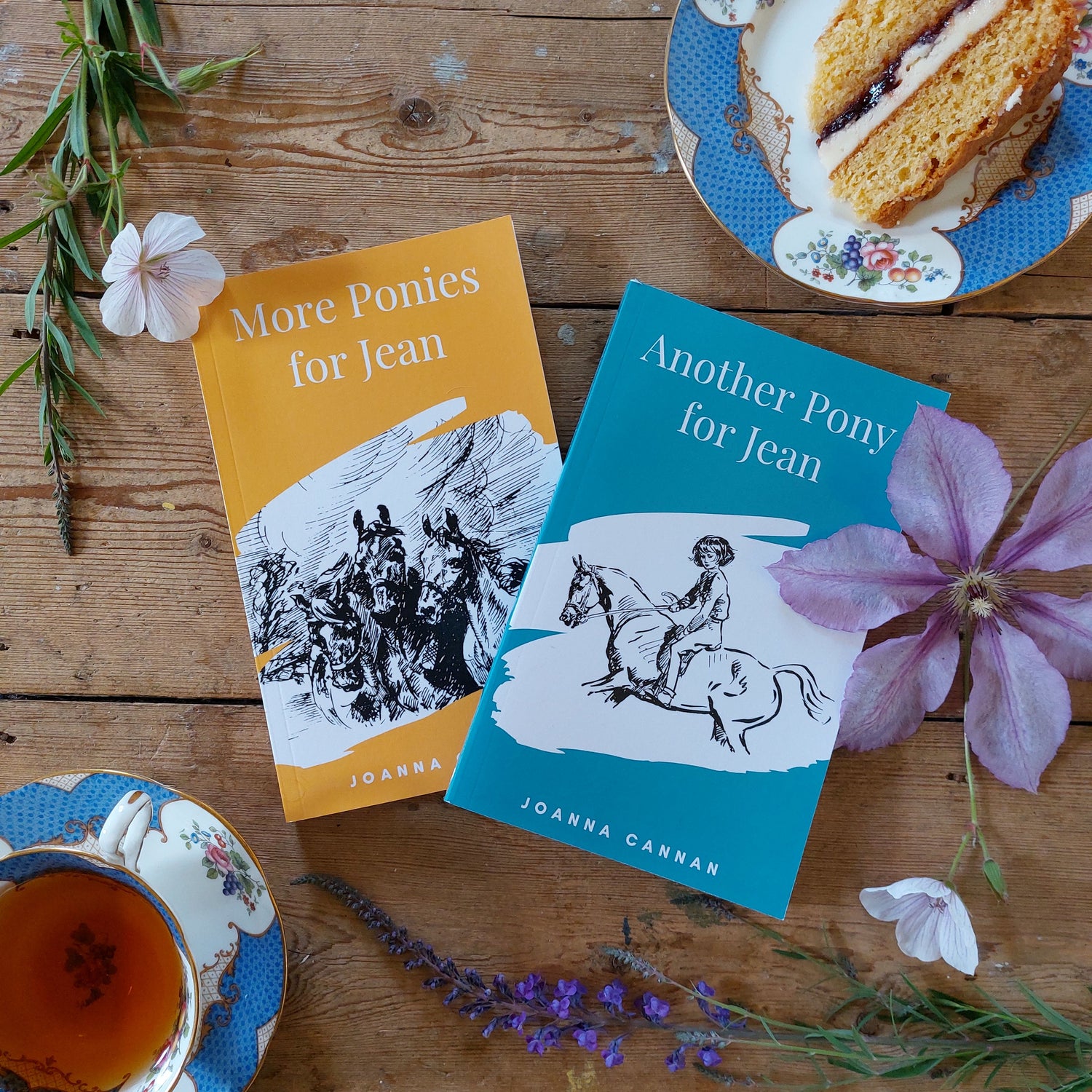 Jane Badger Books Home