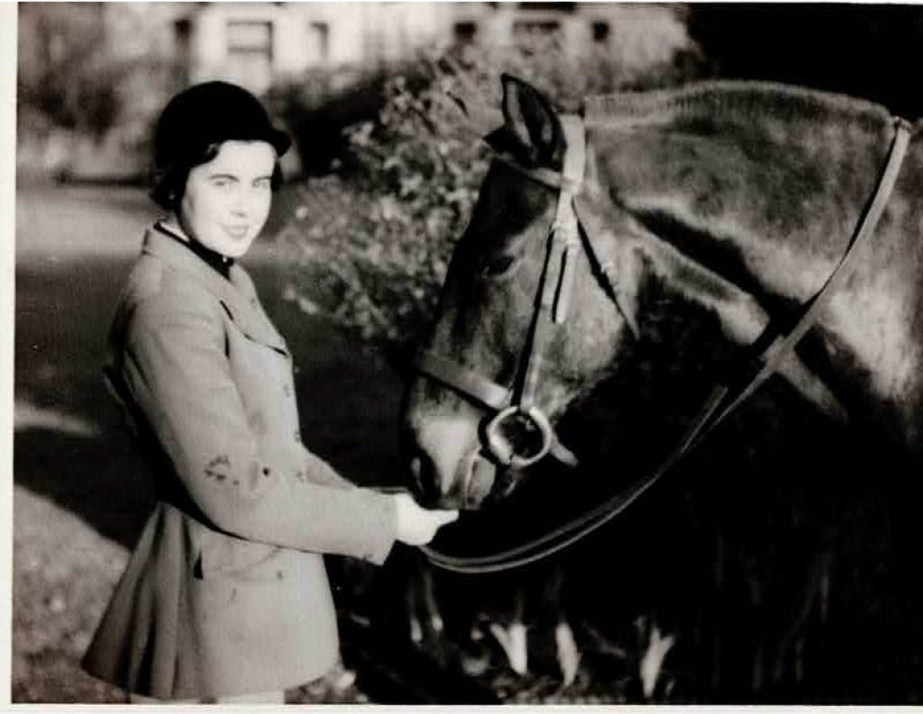 Gillian Baxter – Jane Badger Books